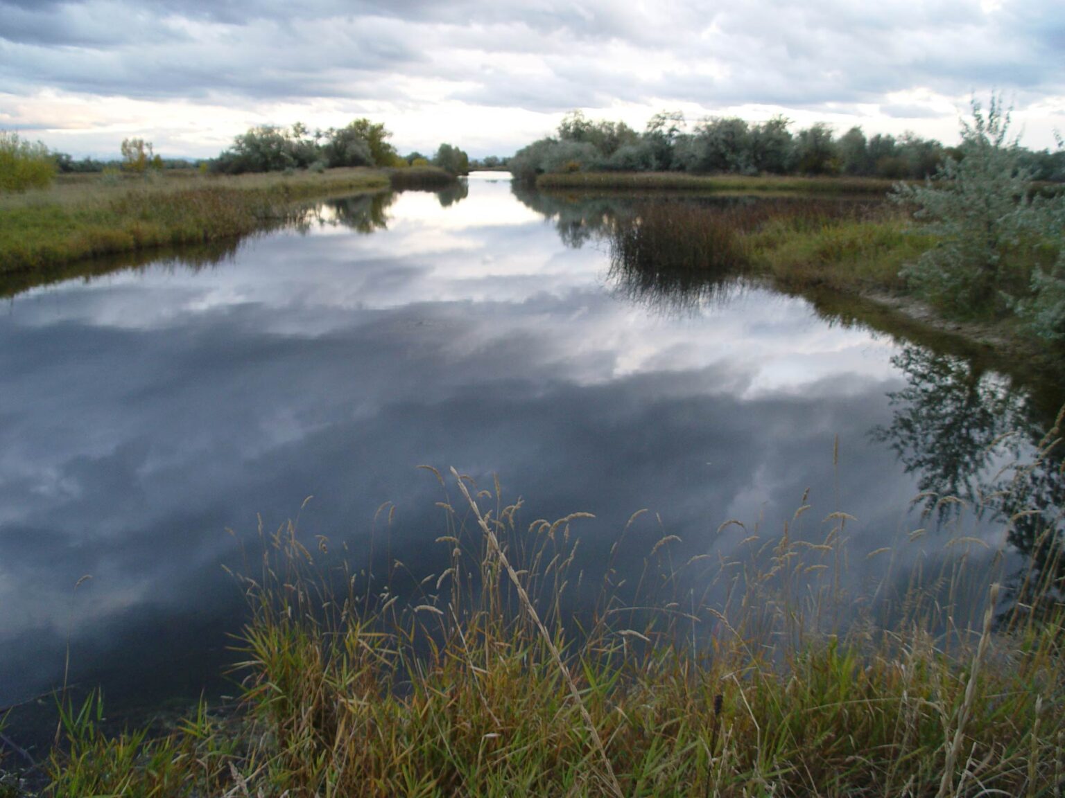 Pablo National Wildlife Refuge » Montana's Flathead Lake